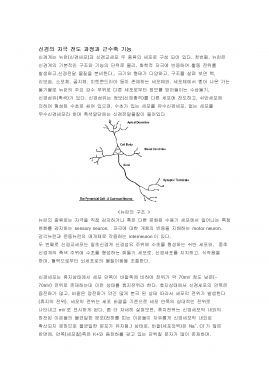 신경의 자극 전도 과정과 근수축 기능-1페이지