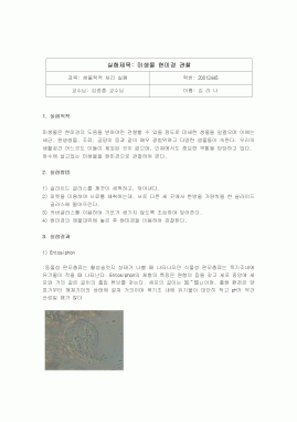 미생물 현미경 관찰-1페이지