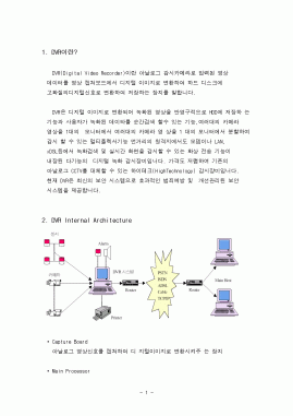 DVR의 종류 레포트 자료-1페이지