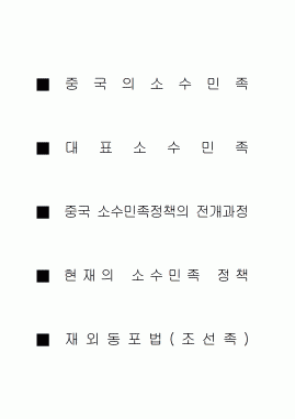 중국의 소수민족 중국의 이해 소수민족-1페이지