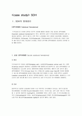 SDH 경막하 혈종-1페이지