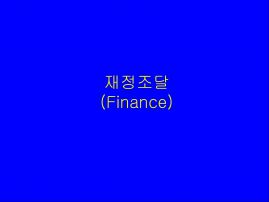 재정조달 레포트 자료-1페이지