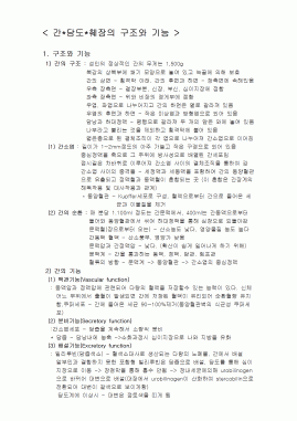[논문] 간,담도,췌장의 구조와 기능-1페이지