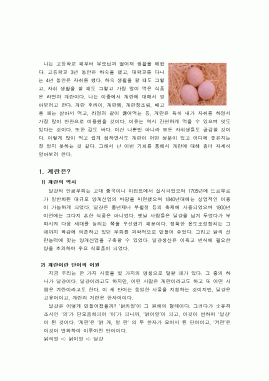  계란-달걀의 구조와 특성및 성분 영양-1페이지