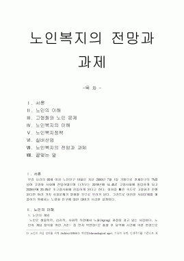 노인복지의 전망과 과제-1페이지