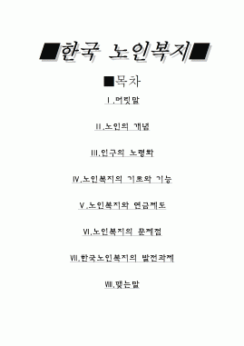 한국 노인복지-1페이지