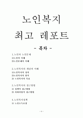 노인복지 최고 레포트-1페이지