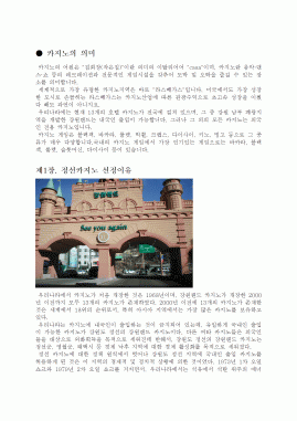 강원랜드카지노의 성공요인-1페이지