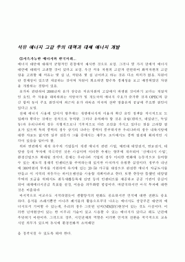 석유 에너지 고갈 후의 대책과 대체 에너지 개발-1페이지