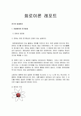 회로이론 레포트 자료-1페이지