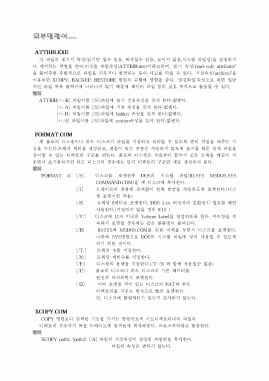 도스(Dos)에 관하여..-1페이지
