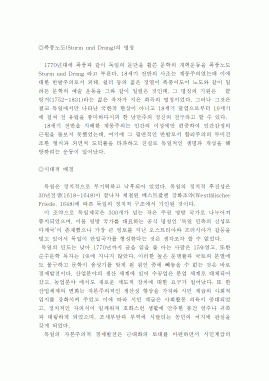 폭풍노도 레포트 자료-1페이지