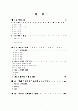 코소보분쟁 레포트 자료-1페이지
