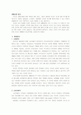 마케팅전략  - HERA-1페이지