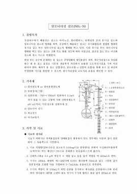 수질 환경화학실험 예비레포트(TN-총질소)-1페이지