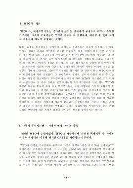 WTO와 WTO에 대한 오해-1페이지