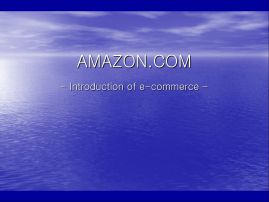 [분석/조사] 아마존(AMAZON)의 성공요인 분석-1페이지