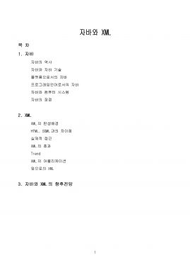 JAVA와 XML 그리고 향후전망-1페이지