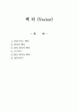 벡터 (Vector) 레포트 자료-1페이지