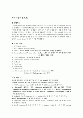 면역발색법 레포트 자료-1페이지