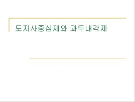도지사중심제와 과두내각제-1페이지