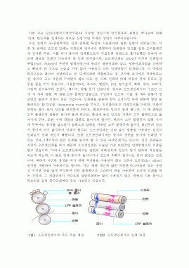 인쇄, 반도체를 인쇄하는 새로운 산업-1페이지