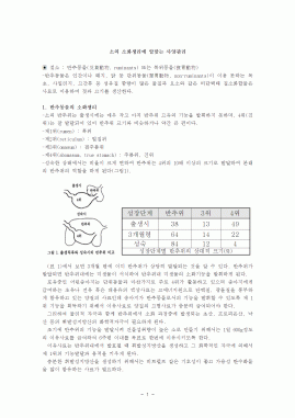 소의 소화생리와 알맞은 사양관리-1페이지