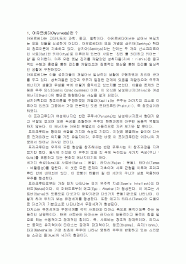 아유르베다 레포트 자료-1페이지