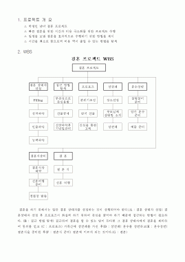 결혼 프로젝트 계획서-1페이지