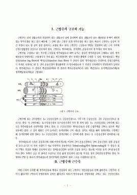 [운동과 건강] 근방추와 신전반사-1페이지