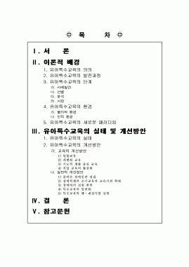 [특수아교육 (완성)] 유아특수교육에 대하여(유아특수교육의 이론적고찰과 실태 및 개선방안 연구)-1페이지