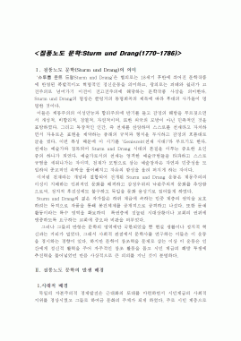 질풍노도의 문학-1페이지