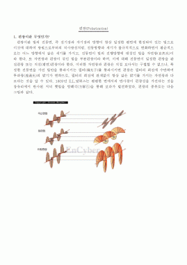 편광(Polarization)-1페이지