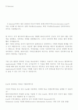 x-internet & rich application 기반조사-1페이지