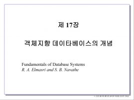 객체지향 데이타베이스의 개념-1페이지