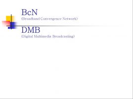 BCN과 DMB 레포트 자료-1페이지