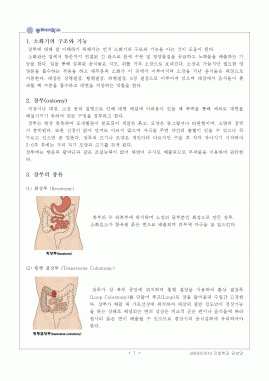 장루간호 레포트 자료-1페이지