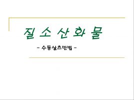 질소산화물(수동살츠만법)-1페이지
