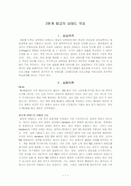 납(Pb)과 주석(Sn) 합금의 상태도-1페이지
