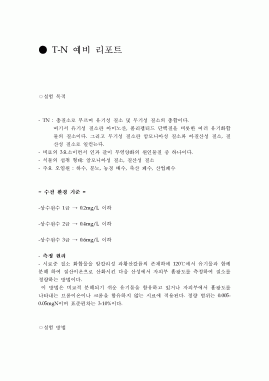 t-n예비리포트-1페이지