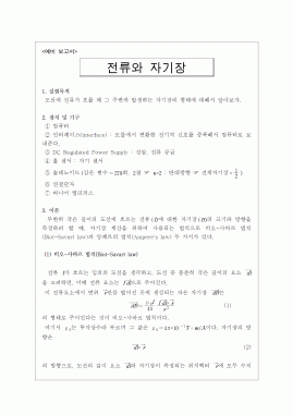 전류와 자기장 실험 예비, 결과 레포트-1페이지