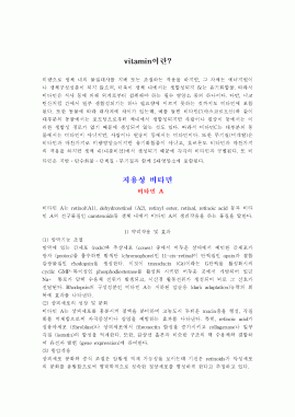 비타민의 종류와 효능 및 효과-1페이지