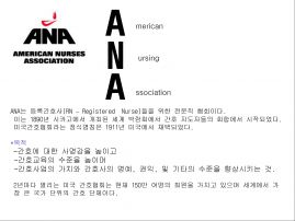 [PPT자료] 미국간호협회 ANA-1페이지