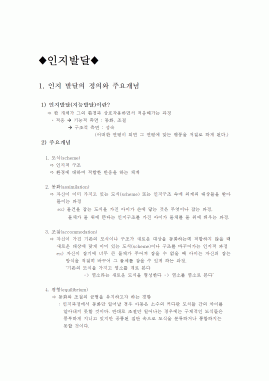 인지발달 레포트 자료-1페이지