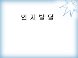 인지발달 ppt 레포트 자료-1페이지