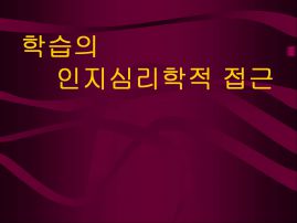 학습의 인지심리학적 접근[교육학,교육심리]-1페이지