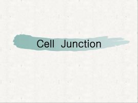 Cell Junctions 레포트 자료-1페이지