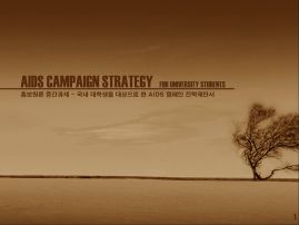 (에이즈 캠페인 전략)AIDS CAMPAIGN STRATEGY-1페이지