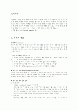 복제의 원리 레포트 자료-1페이지
