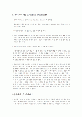 휴대인터넷-와이브로(WiBro)-1페이지